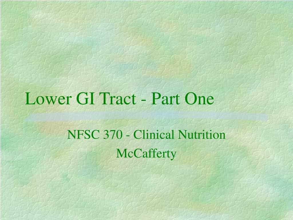 PPT - Lower GI Tract - Part One PowerPoint Presentation, free download ...