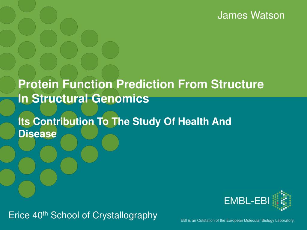 PPT - Protein Function Prediction From Structure In Structural Genomics ...