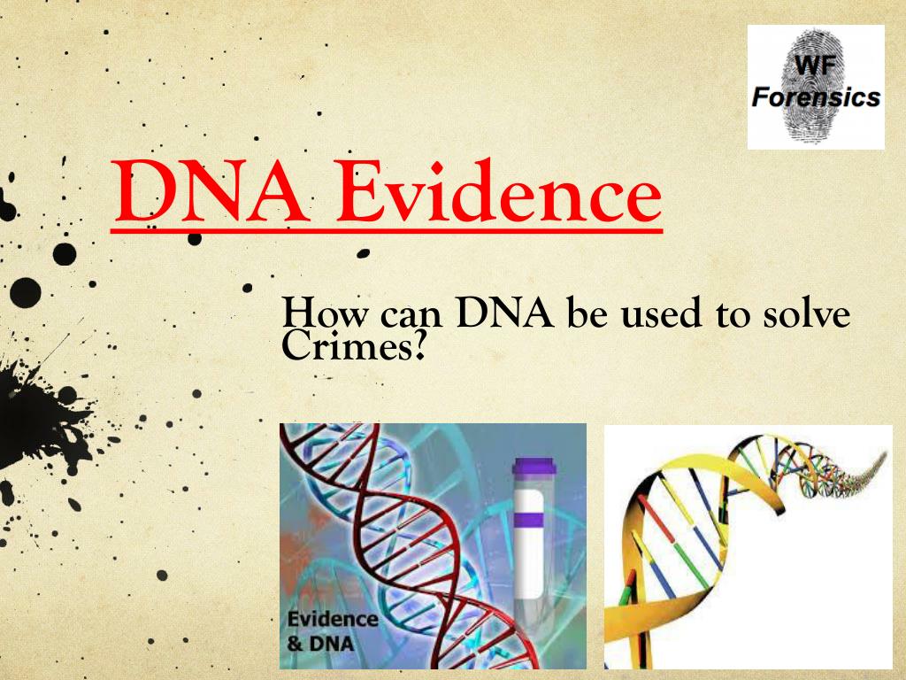 PPT - DNA Evidence PowerPoint Presentation, free download - ID:4257596