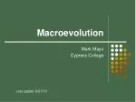 PPT - Macroevolution PowerPoint Presentation, free download - ID:657654