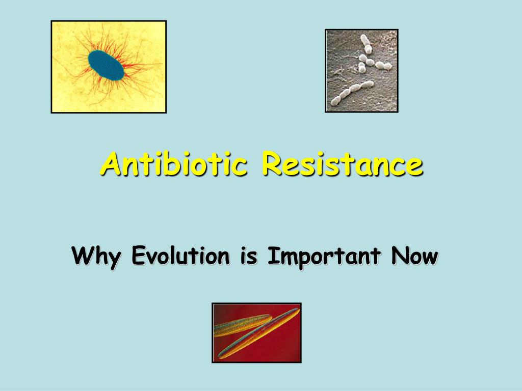 PPT - Antibiotic Resistance PowerPoint Presentation, free download - ID ...