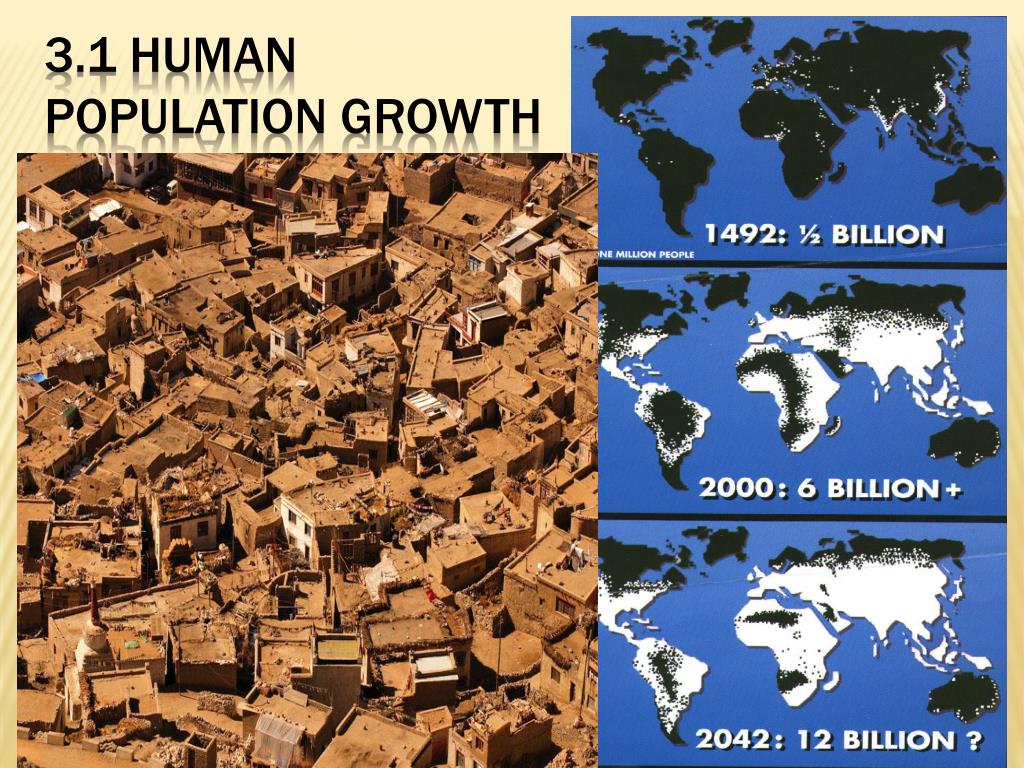 PPT - 3.1 Human population growth PowerPoint Presentation, free ...