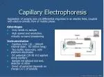 PPT - Capillary Gel Electrophoresis (CGE) PowerPoint Presentation, free ...