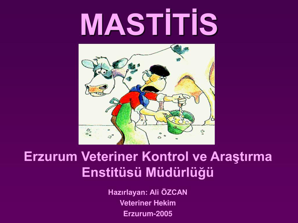 PPT - MASTİTİS PowerPoint Presentation, free download - ID:4263706