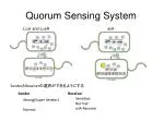 PPT - Quorum Sensing PowerPoint Presentation, free download - ID:1895221
