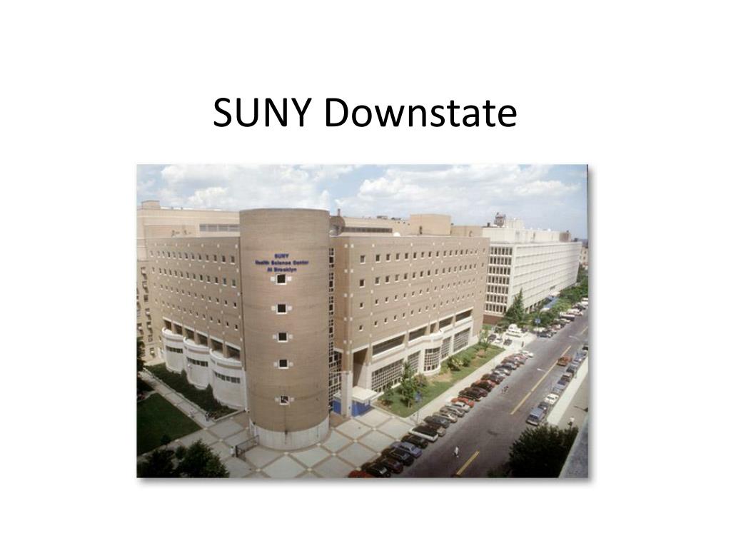 PPT - Advancements in Infectious Disease Research at SUNY Downstate ...