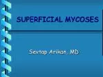 PPT - Les mycoses PowerPoint Presentation, free download - ID:4963327