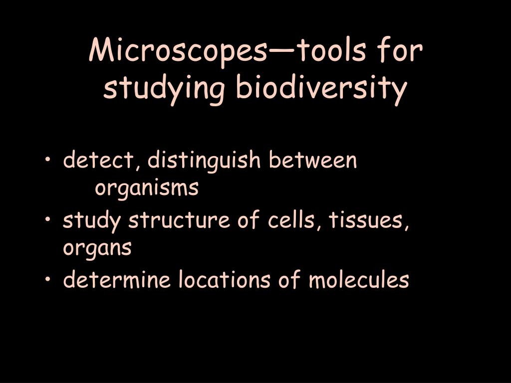 PPT - Microscopes—tools for studying biodiversity PowerPoint ...
