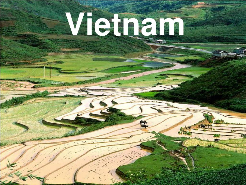 PPT - Vietnam PowerPoint Presentation, free download - ID:4277750