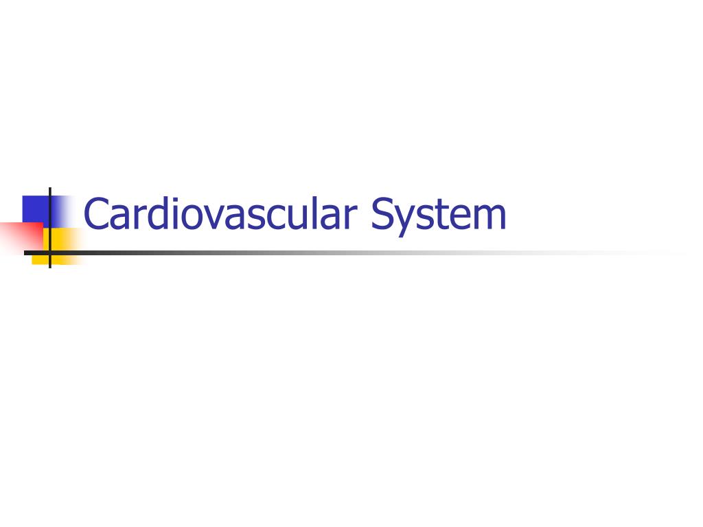 Ppt Cardiovascular System Powerpoint Presentation Free Download Id
