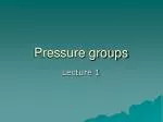 PPT - Pressure Groups PowerPoint Presentation, free download - ID:222830