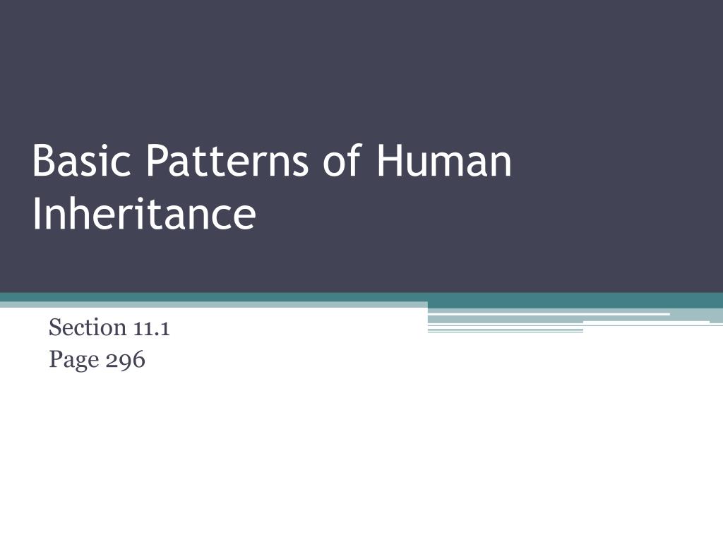 PPT - Basic Patterns of Human Inheritance PowerPoint Presentation, free download - ID:4281567