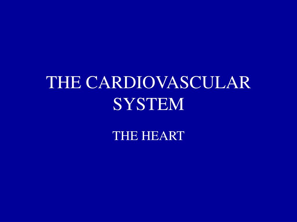 PPT - THE CARDIOVASCULAR SYSTEM PowerPoint Presentation, free download ...