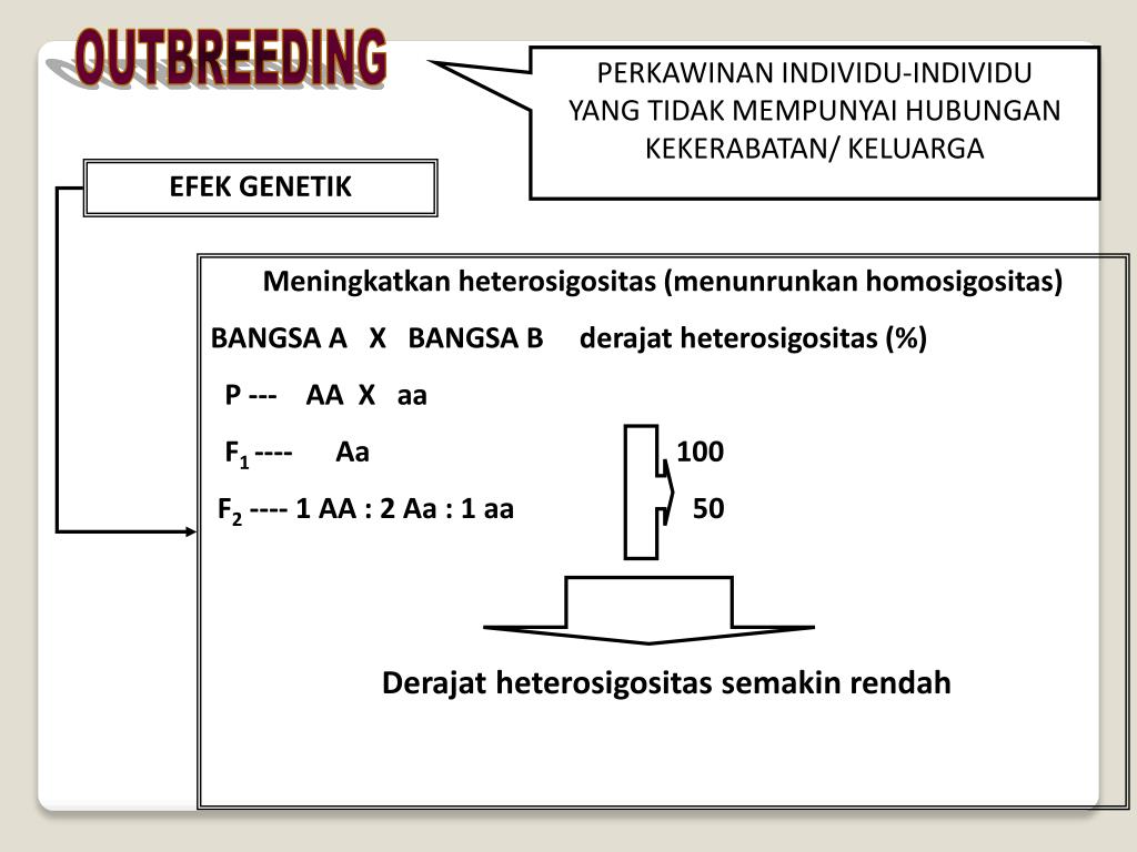 PPT - OUTBREEDING PowerPoint Presentation, free download - ID:4284508