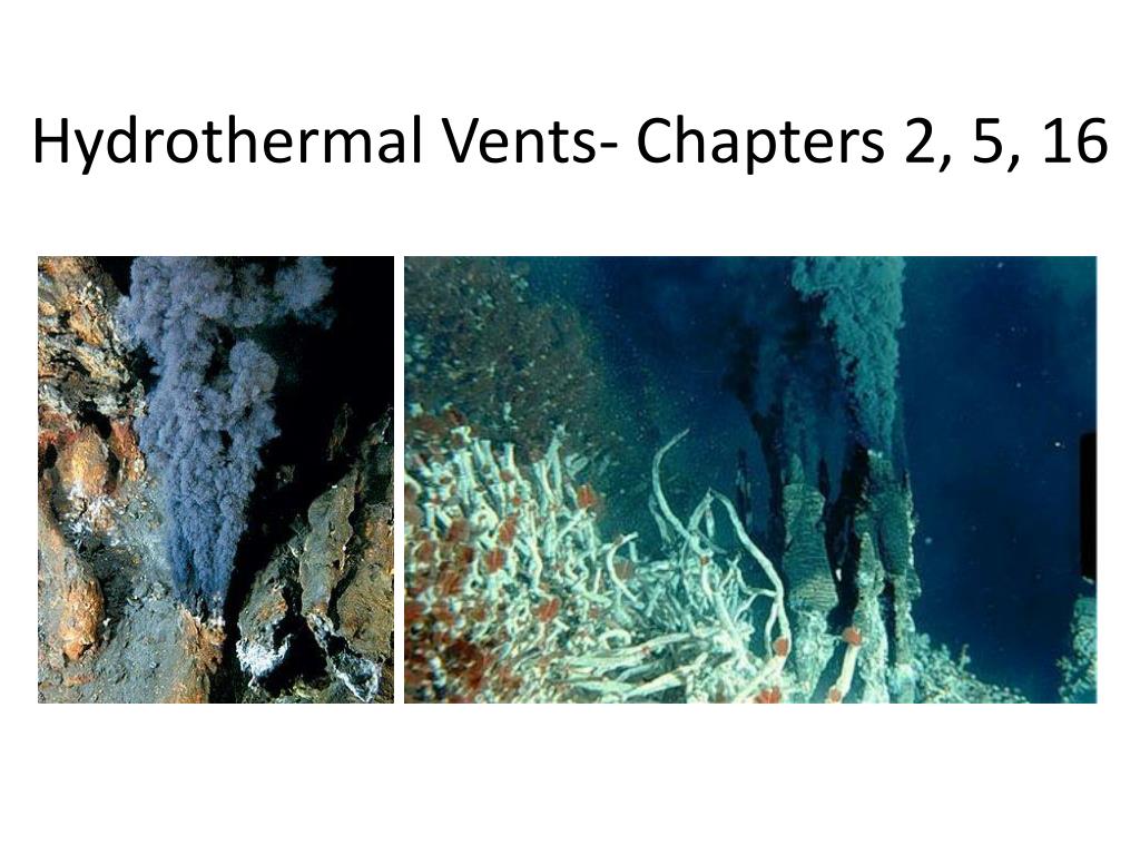 PPT - Hydrothermal Vents- Chapters 2, 5, 16 PowerPoint Presentation ...