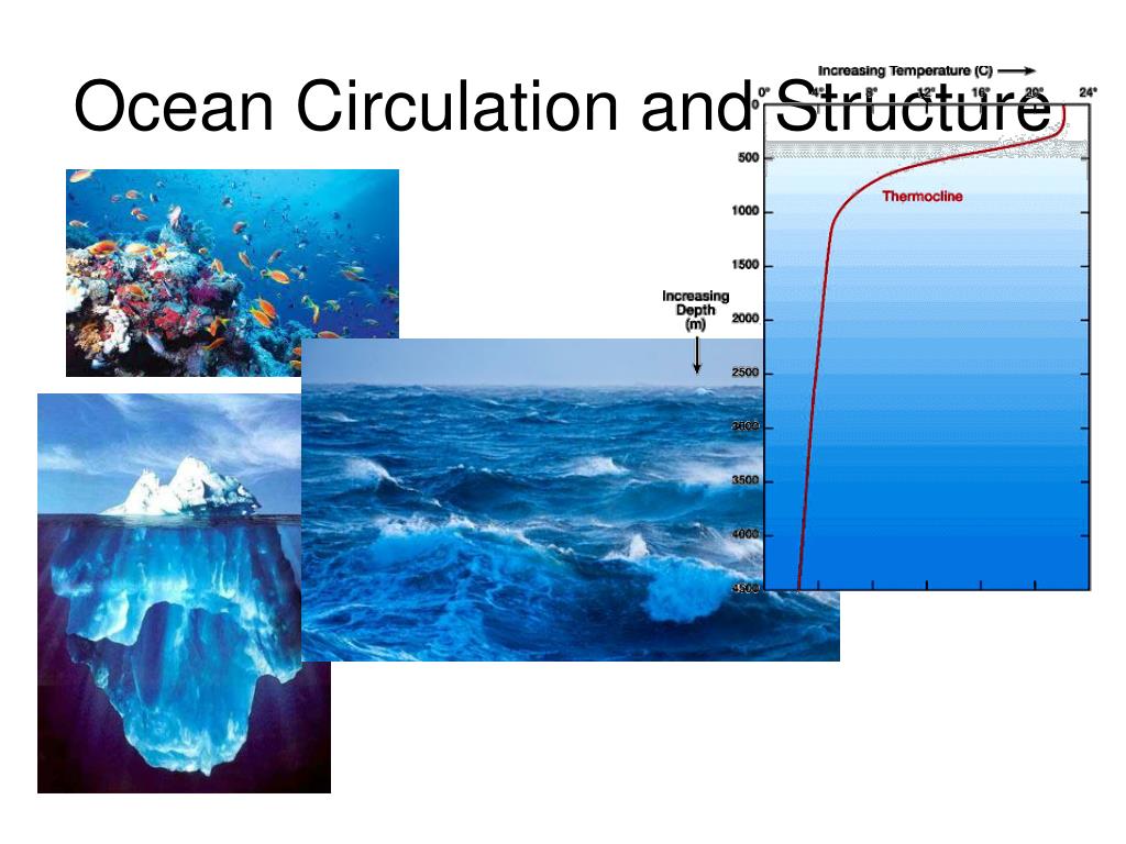 PPT - Ocean Circulation and Structure PowerPoint Presentation, free ...
