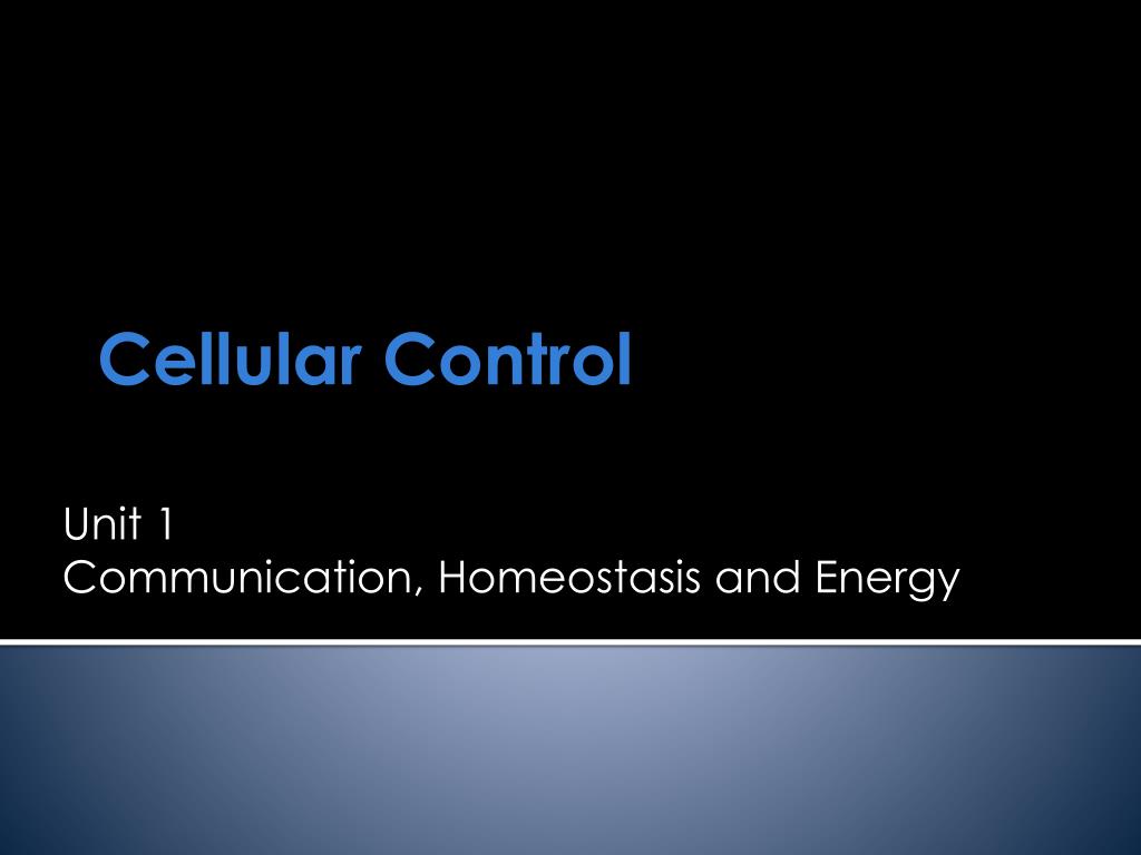 PPT - Cellular Control PowerPoint Presentation, free download - ID:4286678