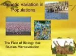PPT - GENETIC VARIATION PowerPoint Presentation, free download - ID:2263050