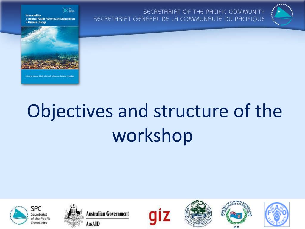PPT - Objectives and structure of the workshop PowerPoint Presentation ...
