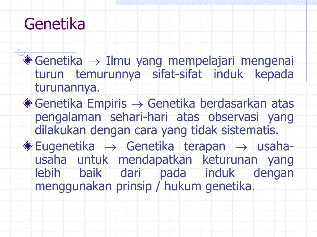 PPT - Genetika PowerPoint Presentation, free download - ID:4288344