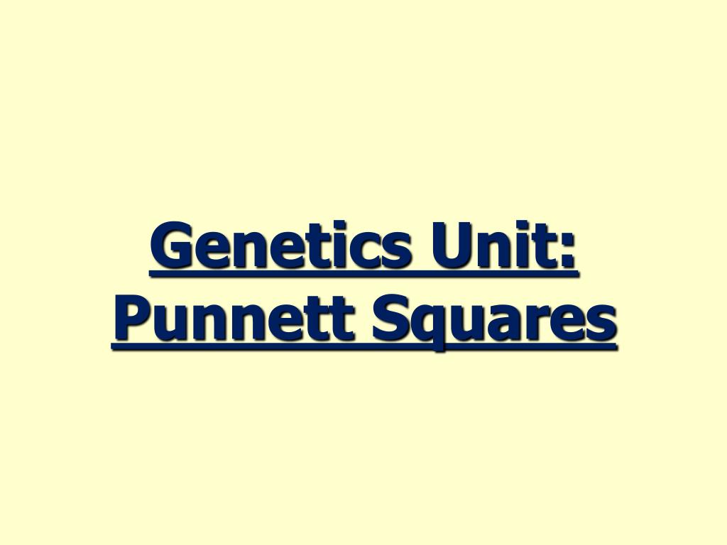 PPT - Genetics Unit: Punnett Squares PowerPoint Presentation, free ...