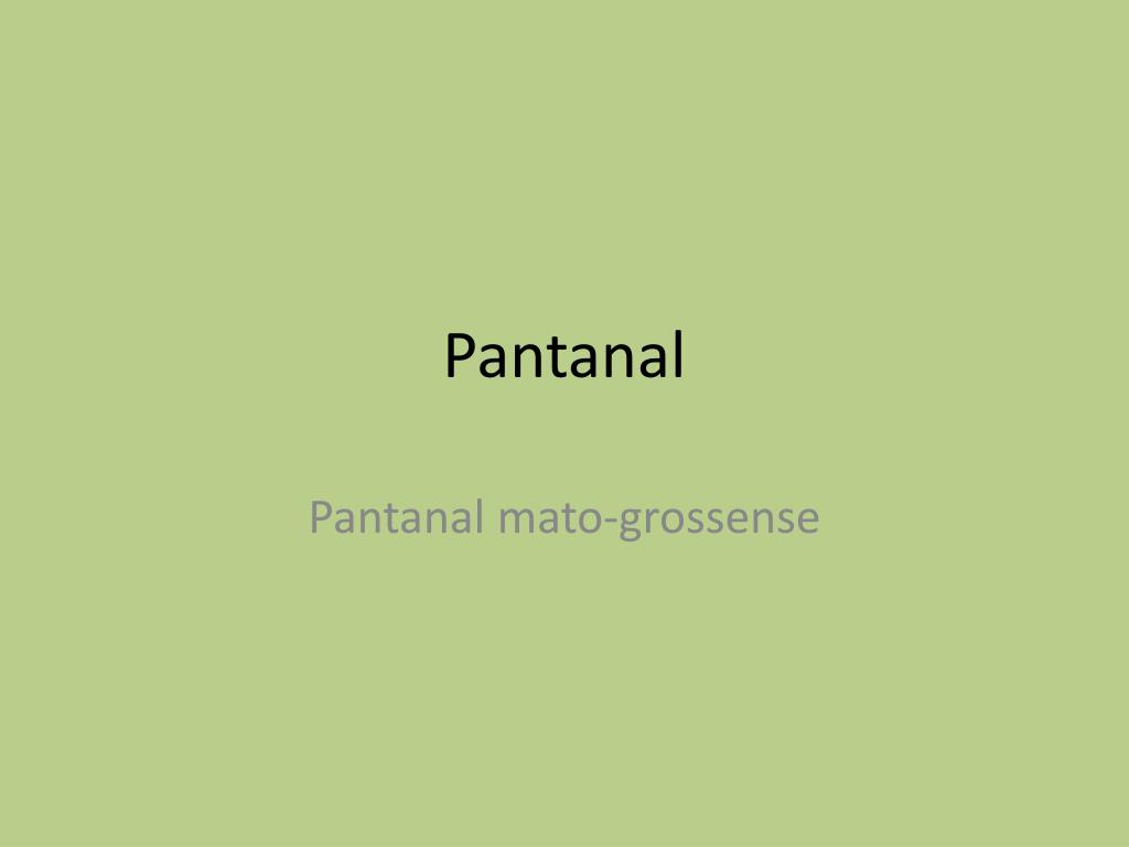 PPT - Pantanal PowerPoint Presentation, free download - ID:4291470