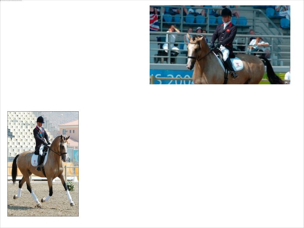 PPT - Lee Pearson PowerPoint Presentation, free download - ID:4291537