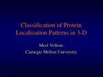 PPT - Protein Localization PowerPoint Presentation, free download - ID ...
