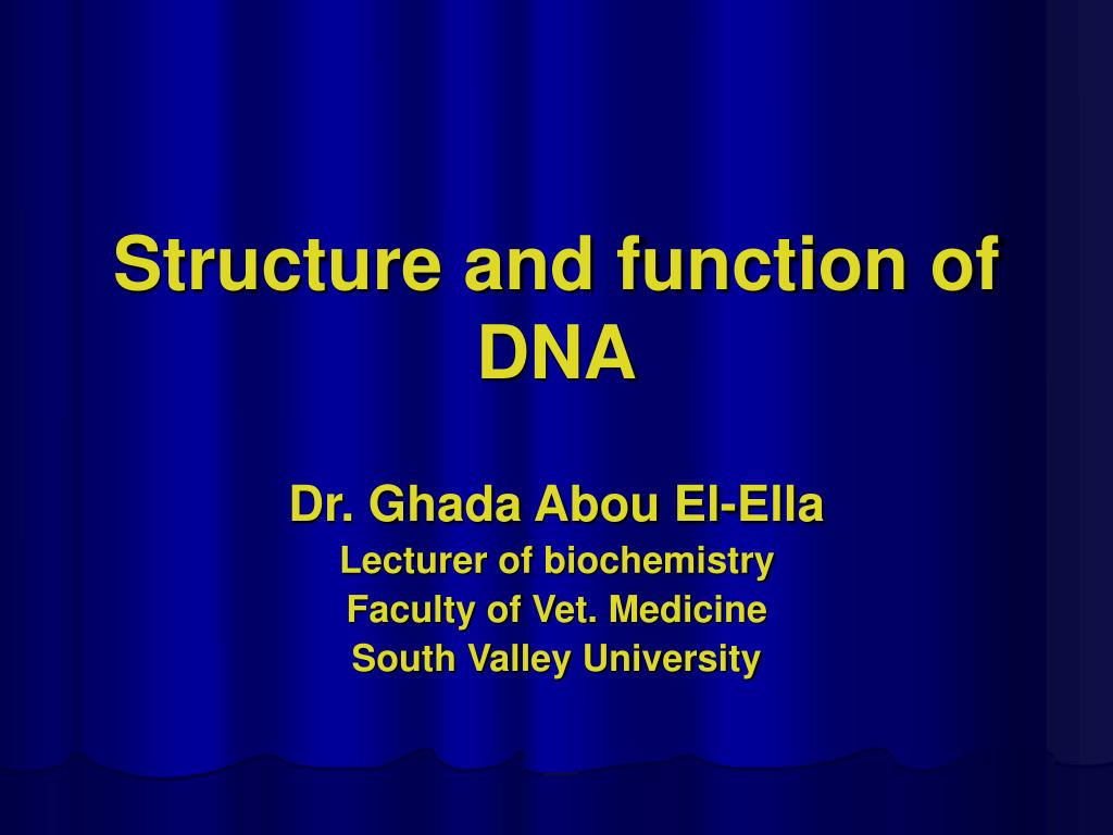 PPT - Structure and function of DNA PowerPoint Presentation, free ...