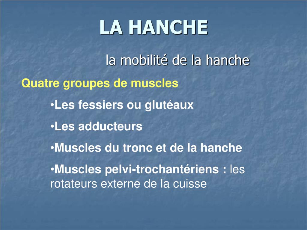 PPT - LA HANCHE PowerPoint Presentation, free download - ID:4296036