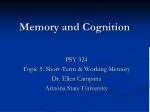 PPT - Social Theory: Collective Memory PowerPoint Presentation, free ...