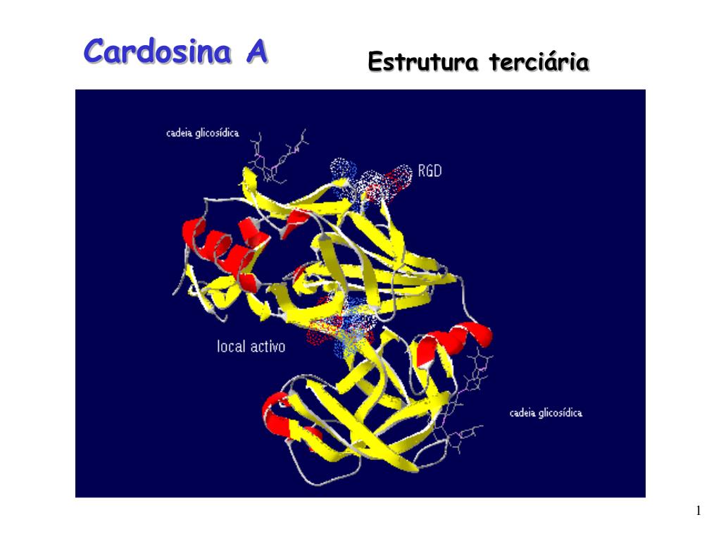 PPT - Cardosina A PowerPoint Presentation, free download - ID:4298968