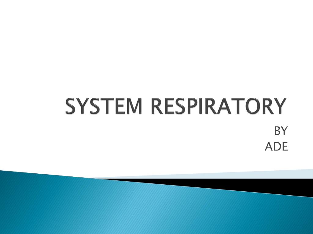 PPT - SYSTEM RESPIRATORY PowerPoint Presentation, free download - ID ...