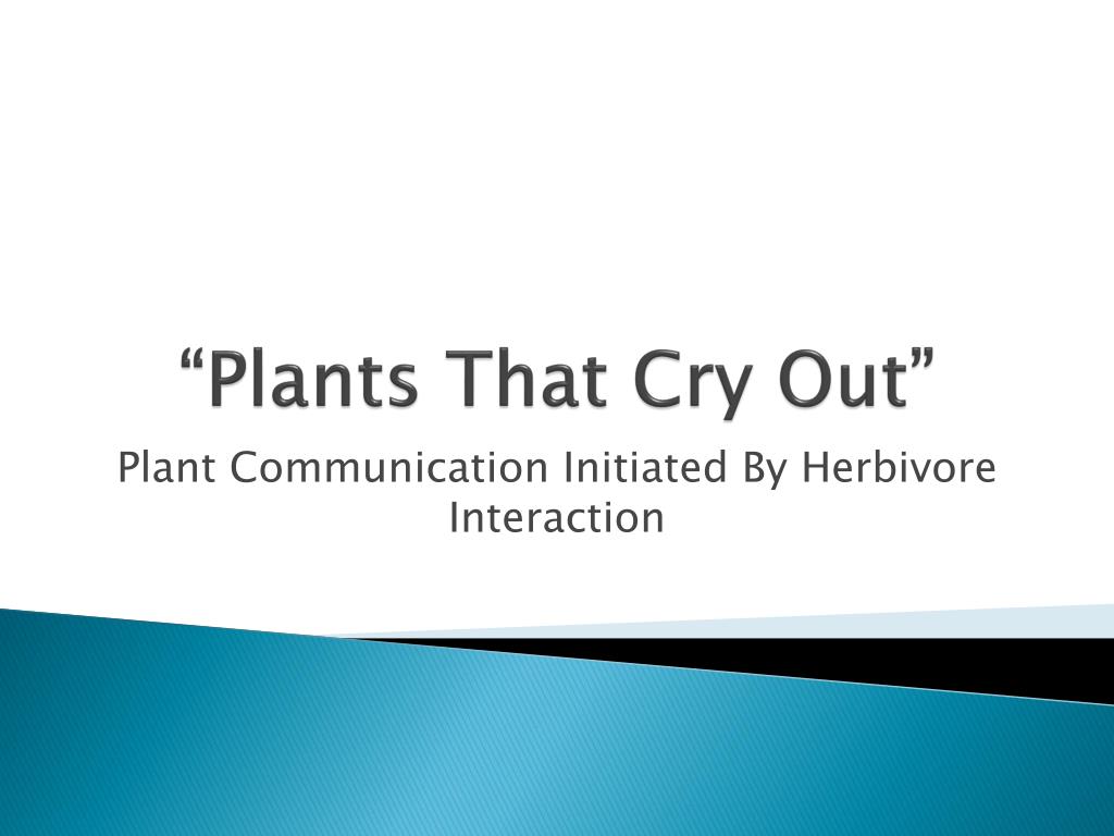 PPT - “Plants That Cry Out” PowerPoint Presentation, free download - ID ...