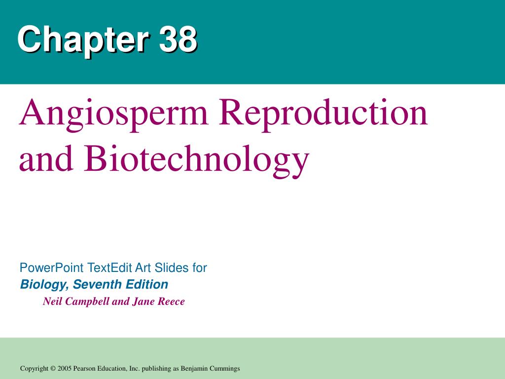 PPT - Chapter 38 PowerPoint Presentation, free download - ID:4303403