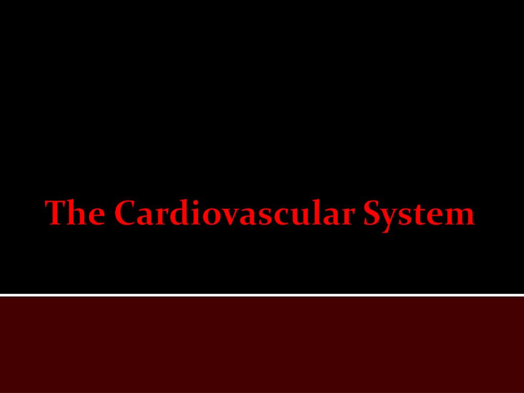 PPT - The Cardiovascular System PowerPoint Presentation, free download ...