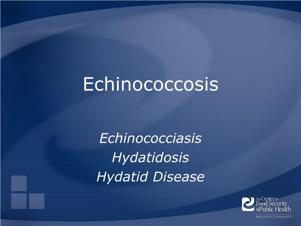 PPT - Echinococcosis PowerPoint Presentation, free download - ID:4303504