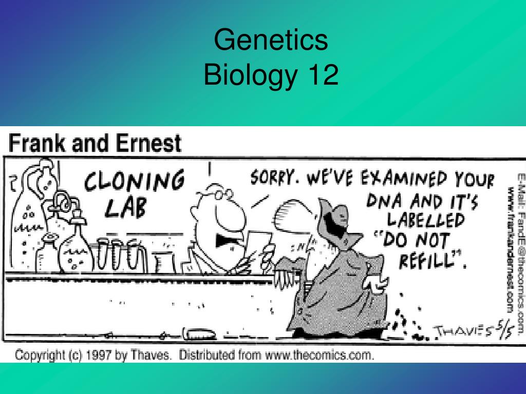 PPT - Genetics Biology 12 PowerPoint Presentation, free download - ID ...
