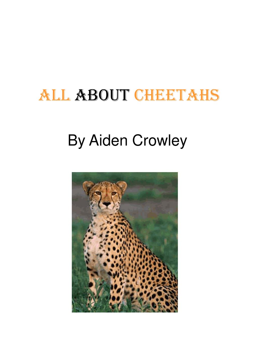 PPT - All about Cheetahs PowerPoint Presentation, free download - ID ...