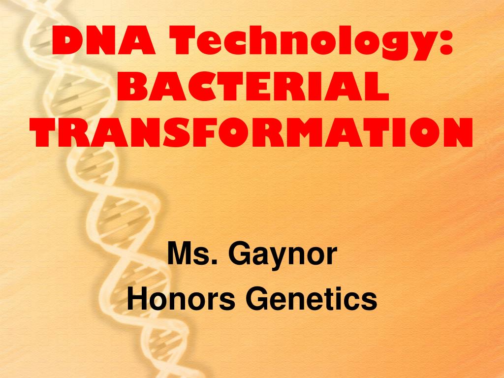 PPT - DNA Technology: BACTERIAL TRANSFORMATION PowerPoint Presentation ...