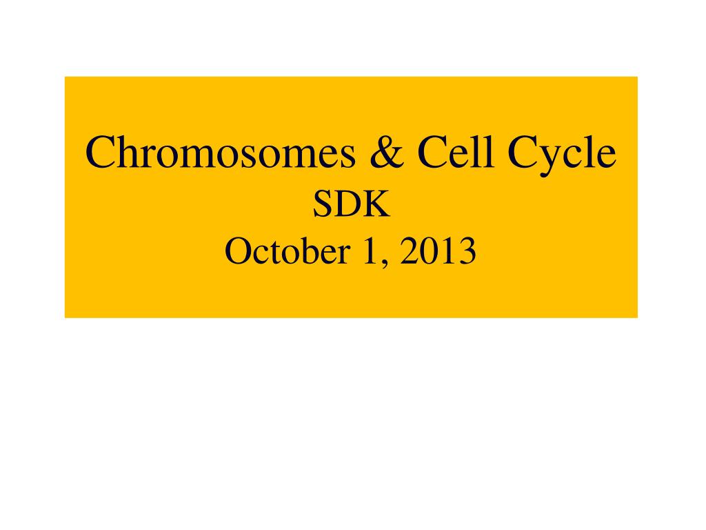 PPT - Chromosomes & Cell Cycle SDK October 1, 2013 PowerPoint ...