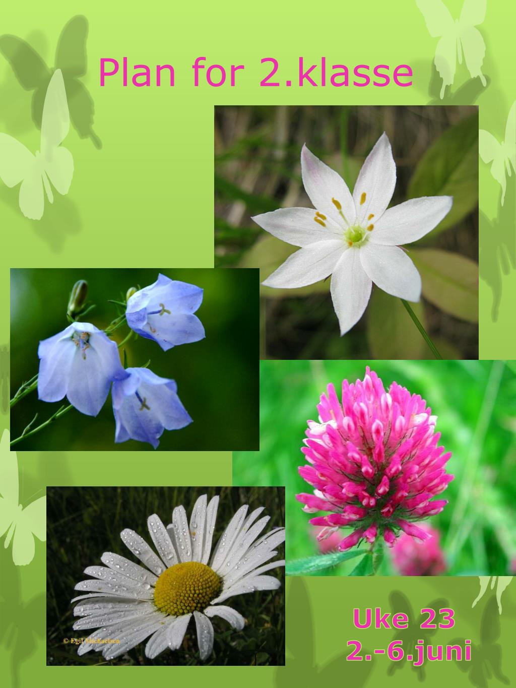 PPT - Plan for 2.klasse PowerPoint Presentation, free download - ID:4312820