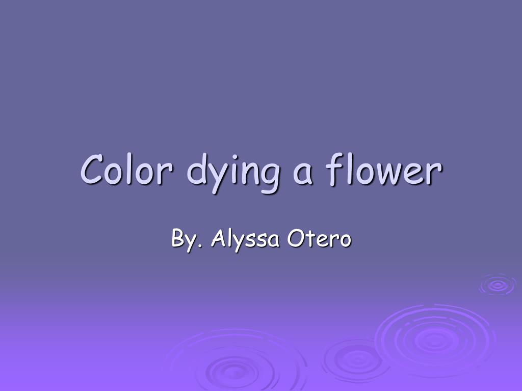 PPT - Color dying a flower PowerPoint Presentation, free download - ID ...