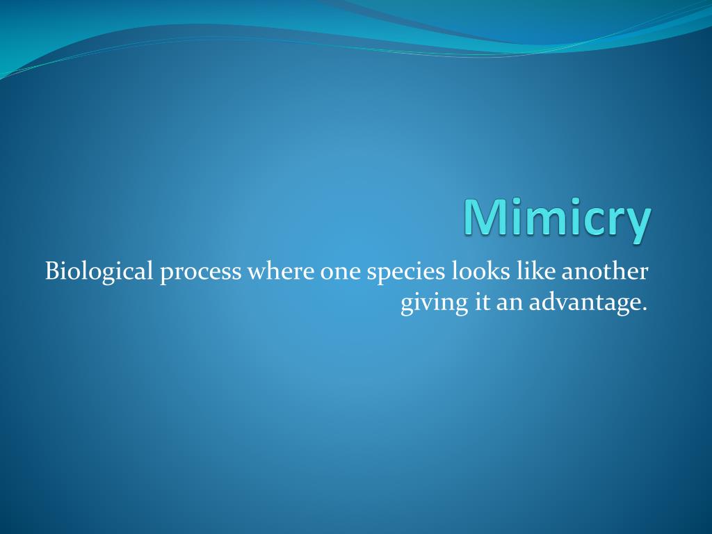 PPT - Mimicry PowerPoint Presentation, free download - ID:4316461