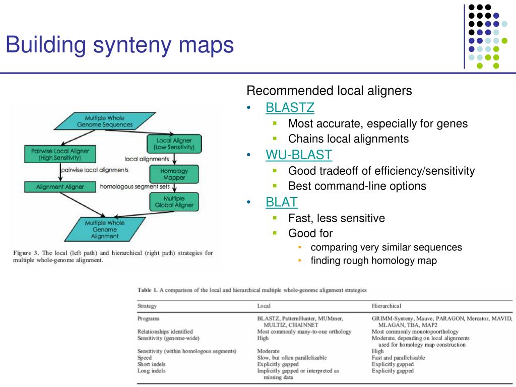 PPT - Synteny Mapping Methods & Tools PowerPoint Presentation, free ...