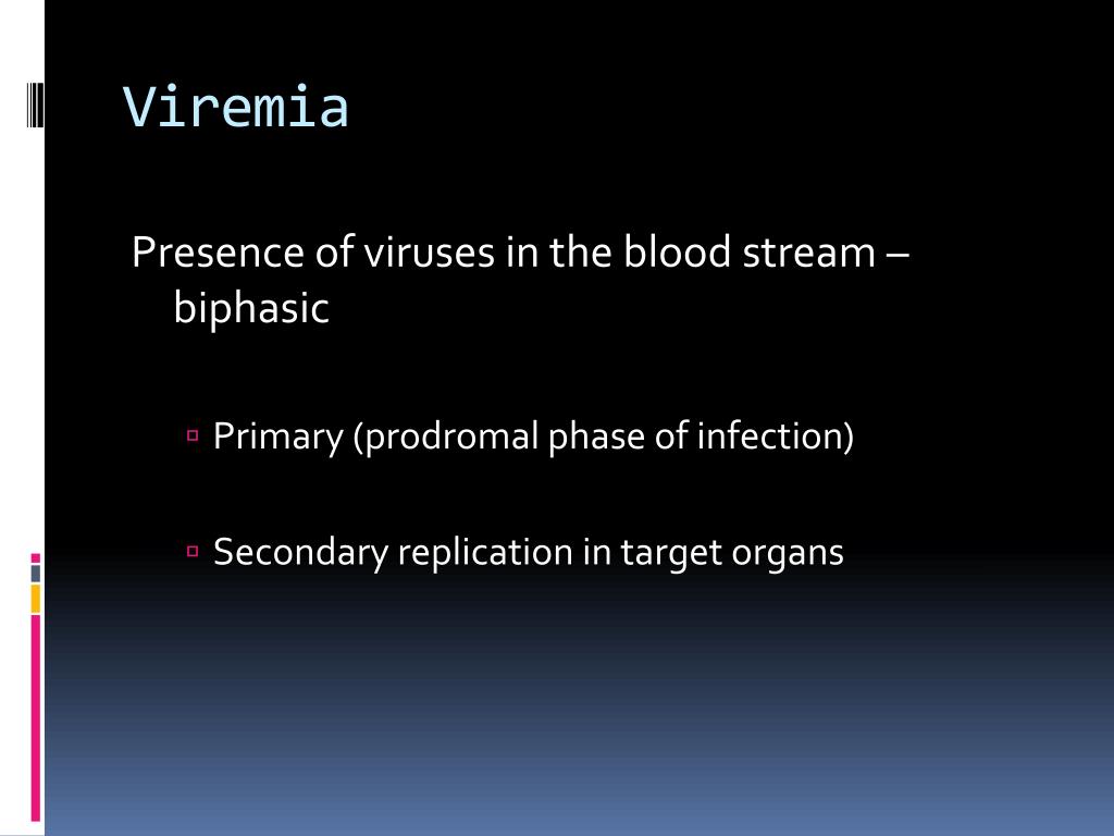 PPT - Viremia PowerPoint Presentation, free download - ID:4319375