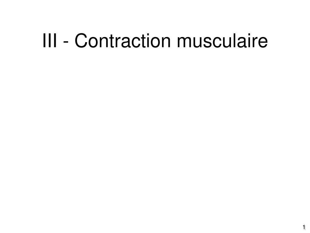 PPT - III - Contraction musculaire PowerPoint Presentation, free ...