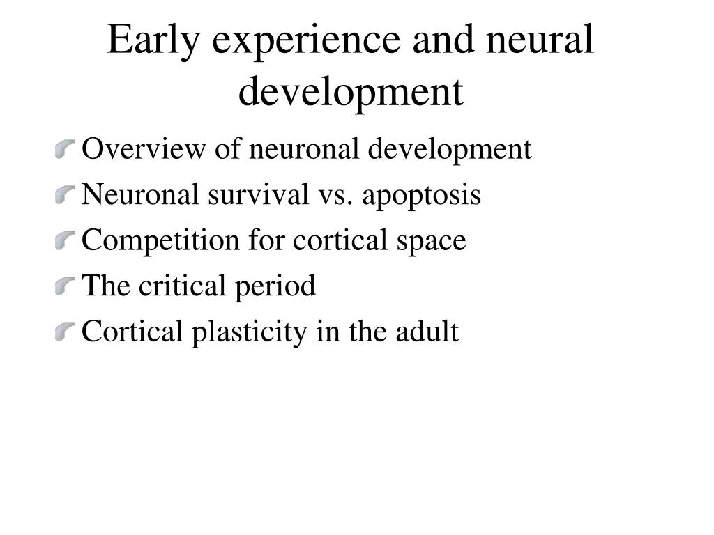 PPT - Early experience and neural development PowerPoint Presentation ...