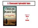 PPT - A Thousand Splendid Suns PowerPoint Presentation, free download ...