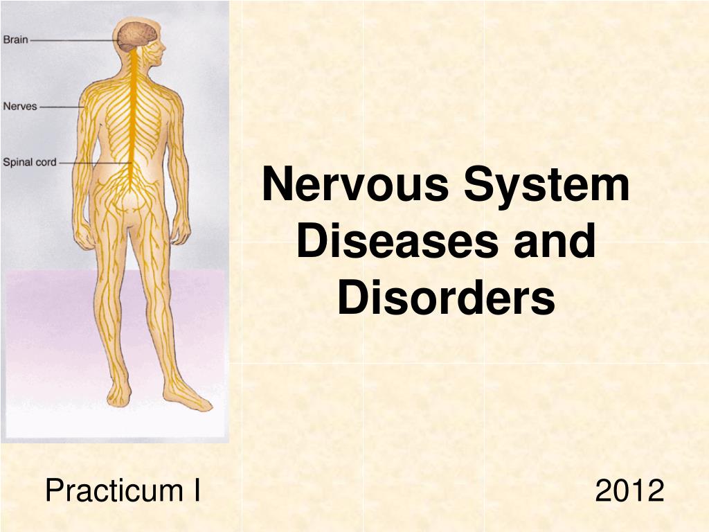 PPT - Nervous System Diseases and Disorders PowerPoint Presentation ...